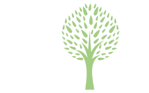 Planet Tree - Baumpatenschaft in Deutschland. Jetzt Baum verschenken.